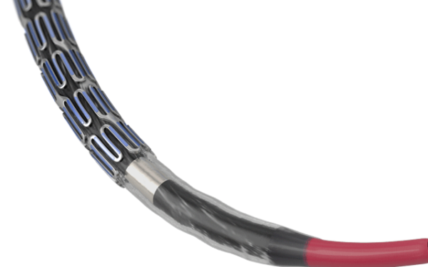 Terumo receives CE mark for Ultimaster Tansei drug-eluting stent - CN