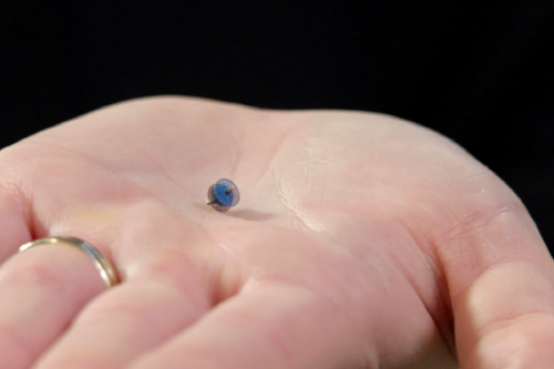 FDA approves world's first device for treatment of premature babies and ...