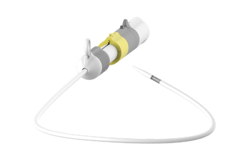 Early feasibility study of TAVI platform for treatment of aortic ...