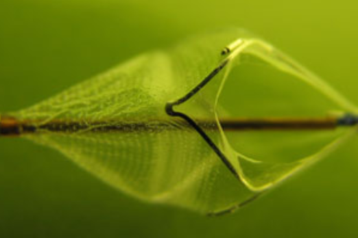 Cardiovascular Systems acquires Gardia Medical's Wirion embolic ...