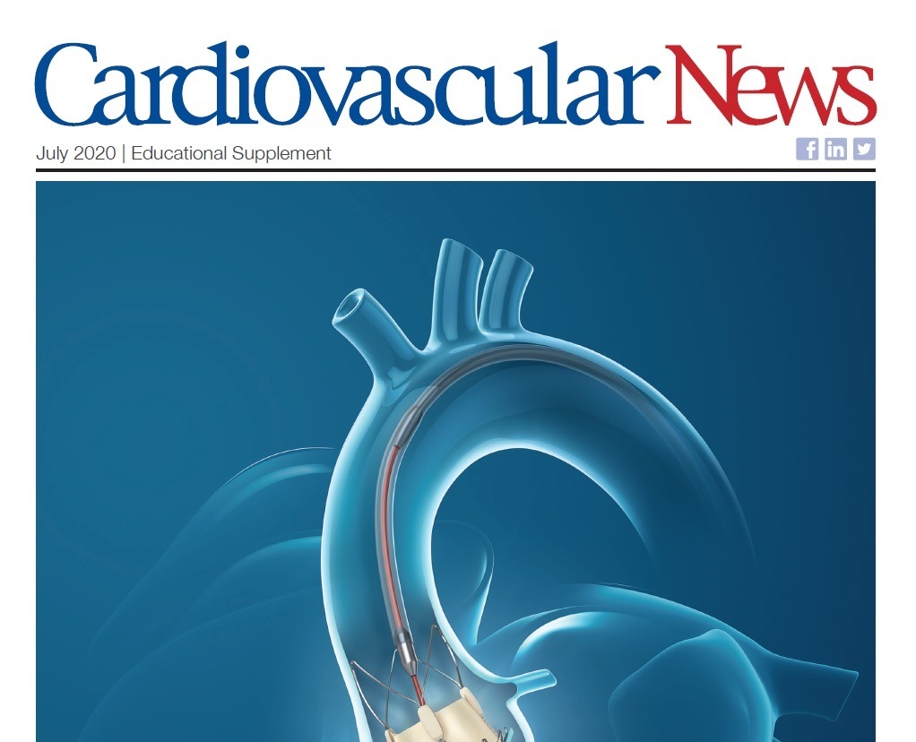 Tailoring therapy and maximising TAVI programme efficiency ...