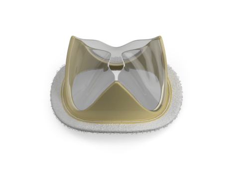 Study backs biopolymer used in Foldax’s Tria valve - Cardiovascular News