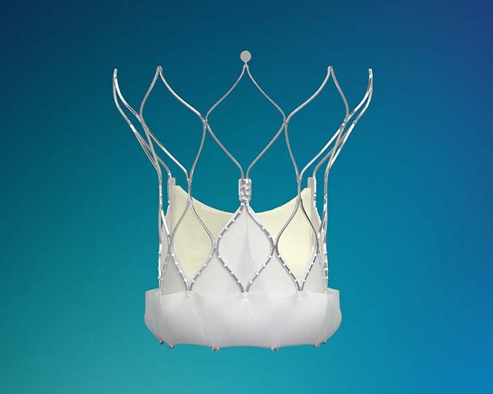 US FDA approves use of Navitor TAVI valve in high-risk aortic stenosis ...