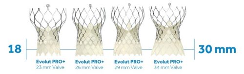 ADVERTORIAL: Evolut PRO+ provides options in the toughest TAVI cases