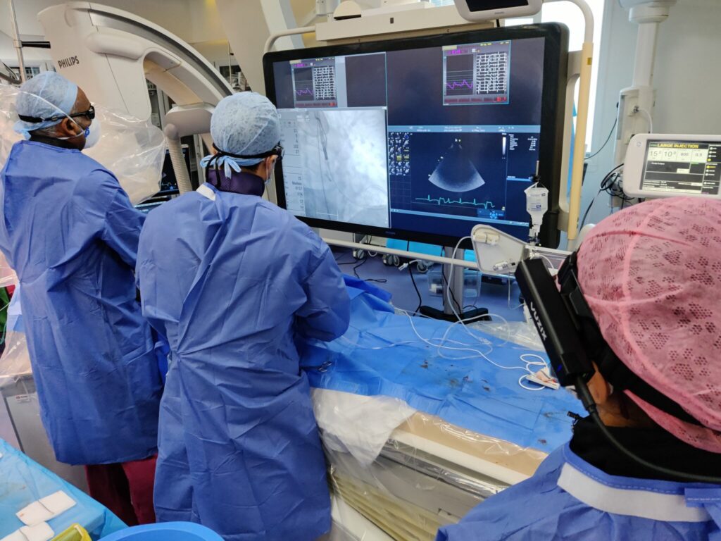 Smart glasses guide remote support for pioneering TAVI procedure