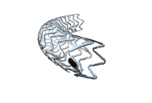 Biotronik’s Freesolve resorbable magnesium scaffold gains CE mark ...