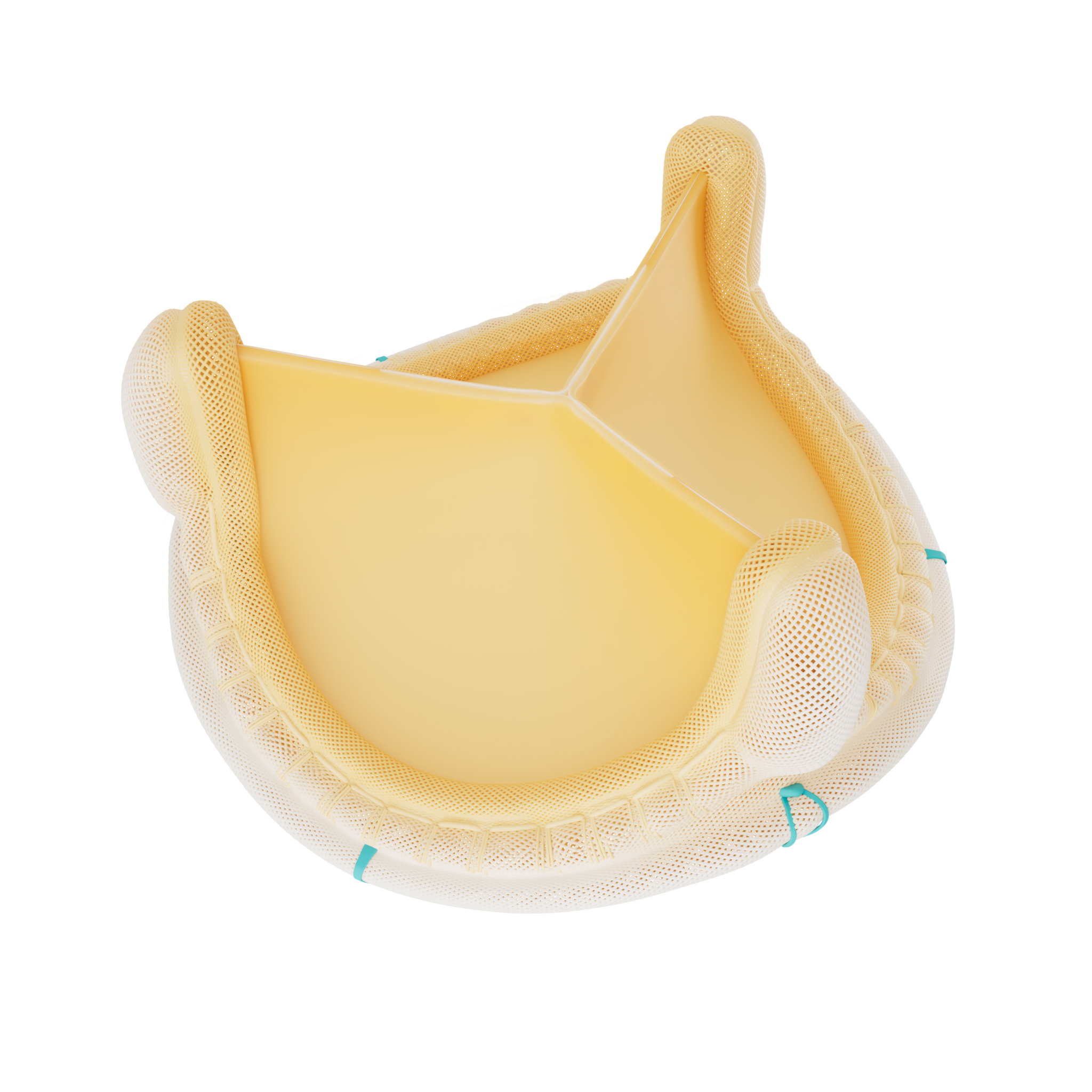 Medtronic announces US launch of Avalus Ultra surgical aortic valve ...
