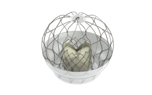 AltaValve granted US FDA breakthrough device designation